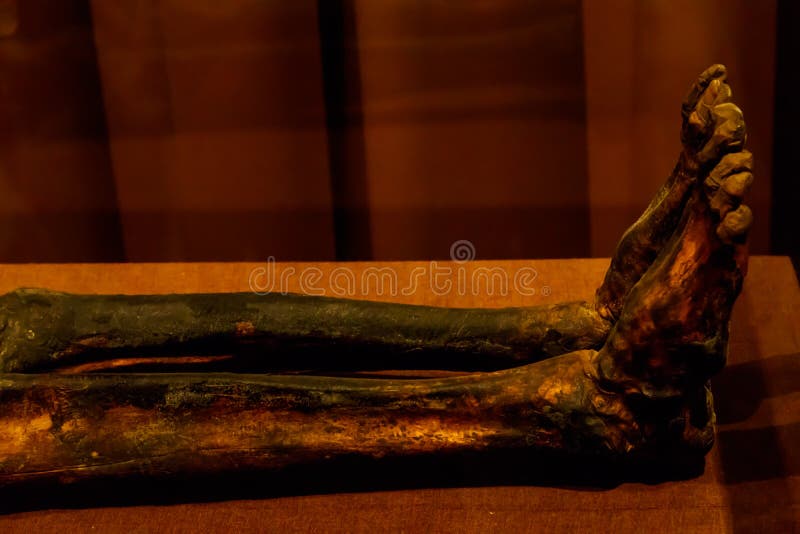 Legs of Ancient Mummy Close-up Stock Photo - Image of dead, buried ...