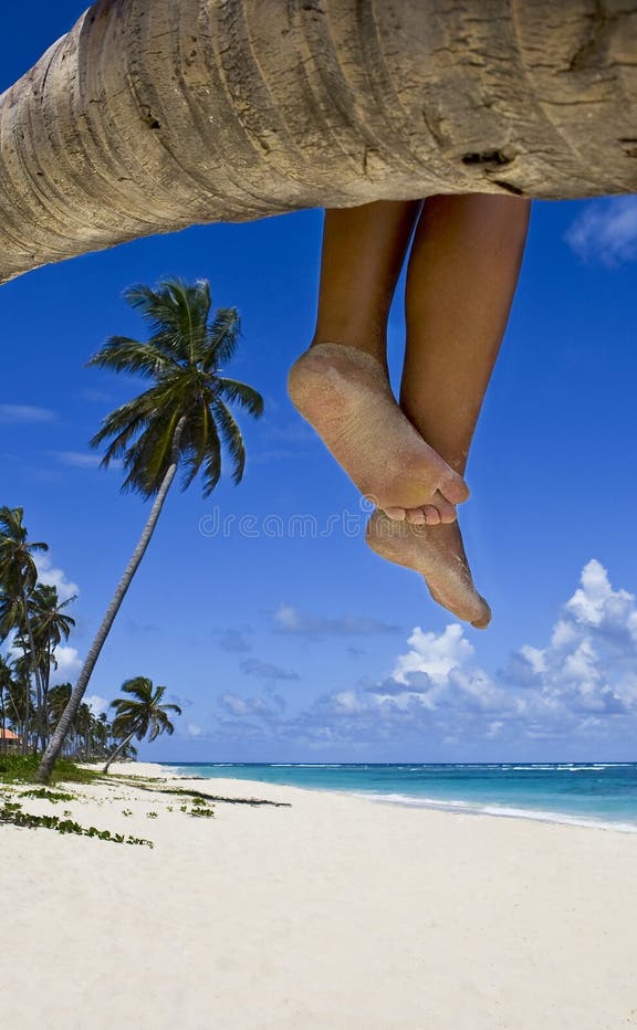 Legs on the beach stock image. Image of cruise, shore - 6583903