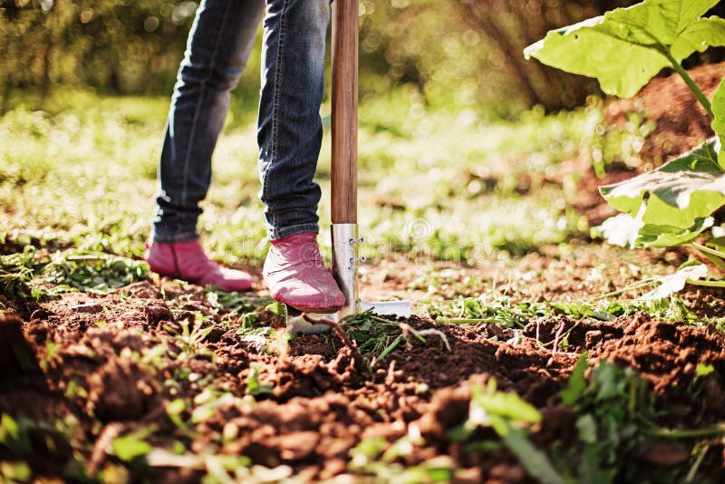 Legs. stock photo. Image of rural, care, gardening, shovel - 41987226