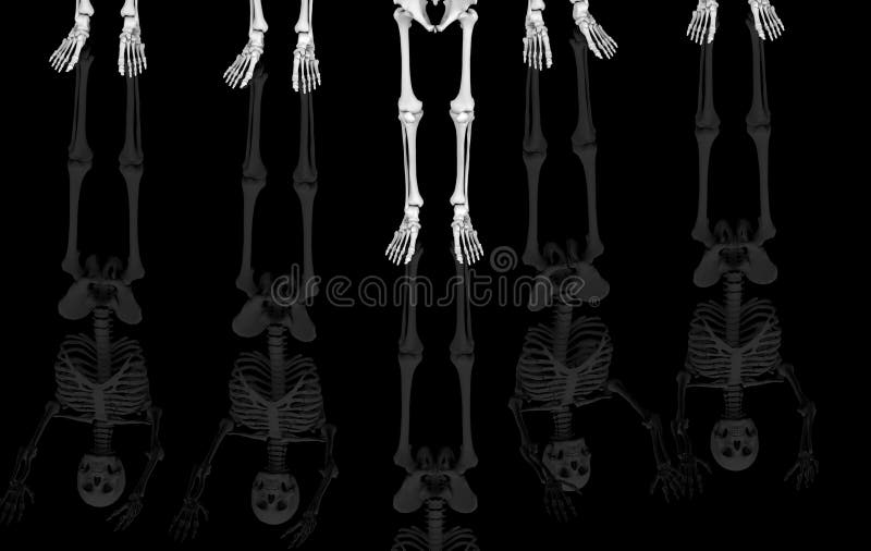 3d Rendering. Legs of Ghost Human Skull Skeleton Bones with Reflection ...