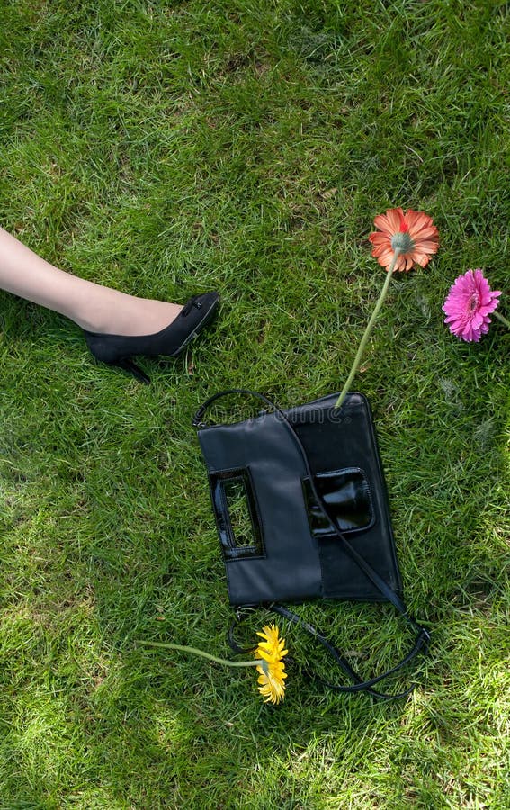 Legs, Handbag and Flowers on Grass Stock Image - Image of celebration ...