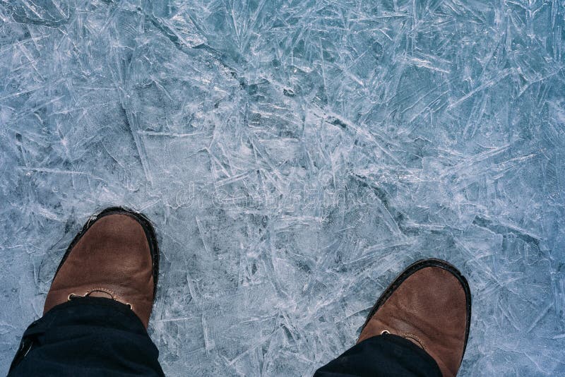 The legs on the ice. stock photo. Image of rare, island - 70178632