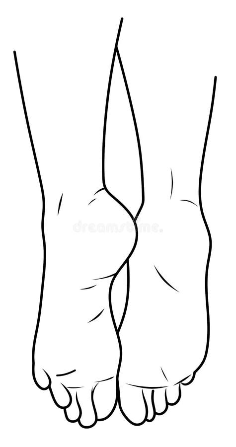 Legs. Isolated Illustration of Human Legs. Feet. Stock Illustration ...
