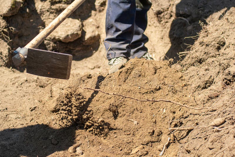 Legs of a Man Moving Soil with a Hoe at a Work Site, Archeologist ...