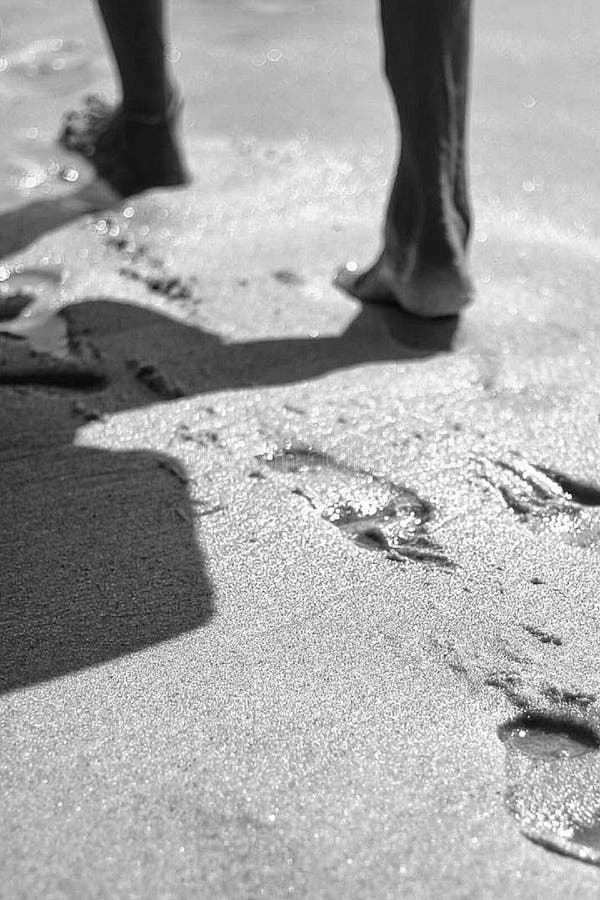 Legs of a Man Walking on the Beach Leaving Footprints in the Wet Sand ...