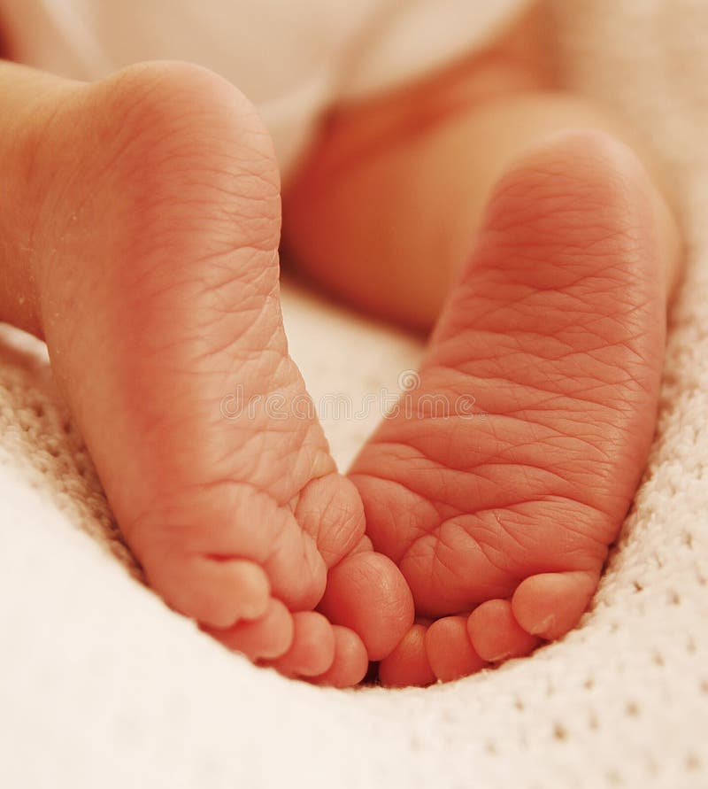 Legs One Cute Newborn Little Baby Stock Photo - Image of months ...