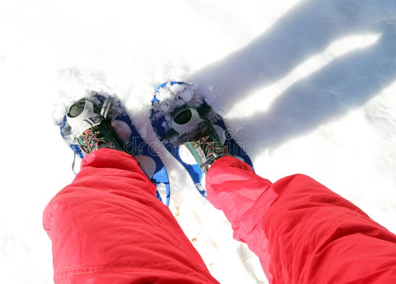 Legs of People while Snowshoeing in the Mountains Stock Image - Image ...