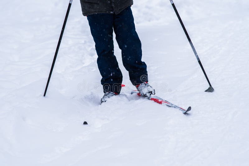 Legs of a Skier in the Deep Winter Snow Stock Photo - Image of feet ...