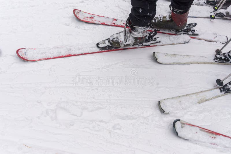 Legs of Skiers on the Ski Track Stock Image - Image of north, travel ...