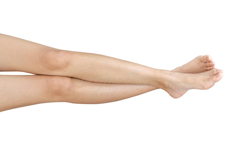 The Legs of Women on a White Background Stock Image - Image of model ...