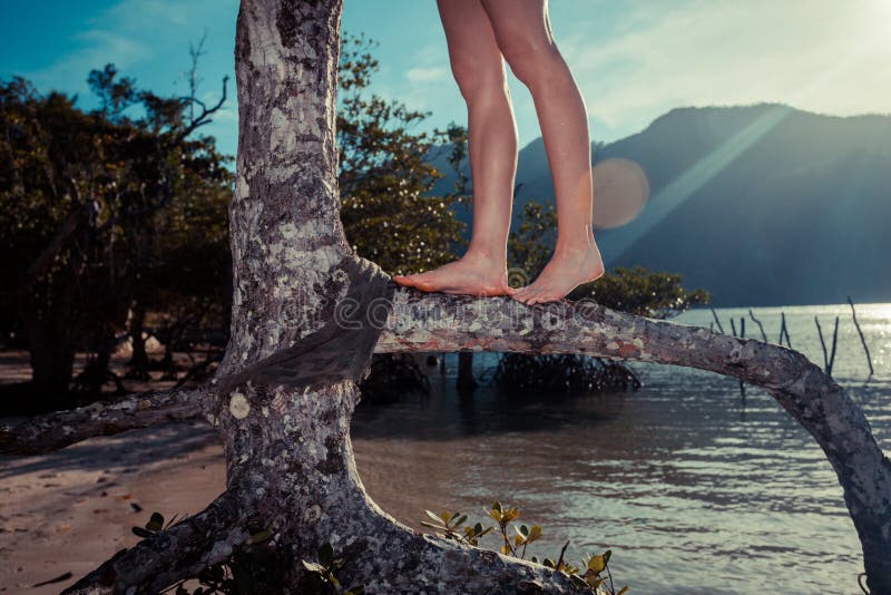 Legs of Young Woman in Tree Stock Photo - Image of sunshine, young ...