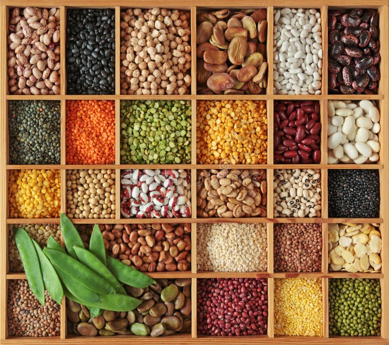 Legumbre foto de archivo. Imagen de blanco, germen, soja - 23173010