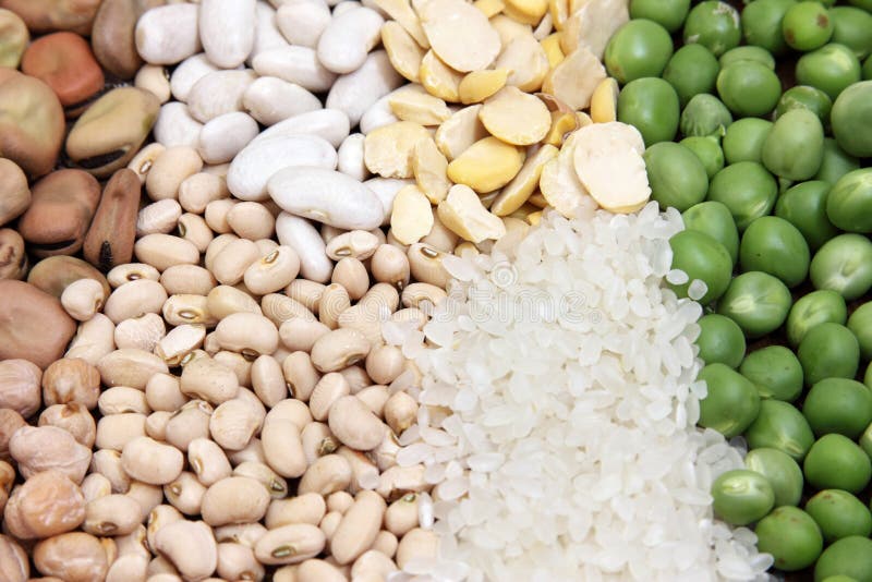 Legume collection stock image. Image of protein, rice - 69400847