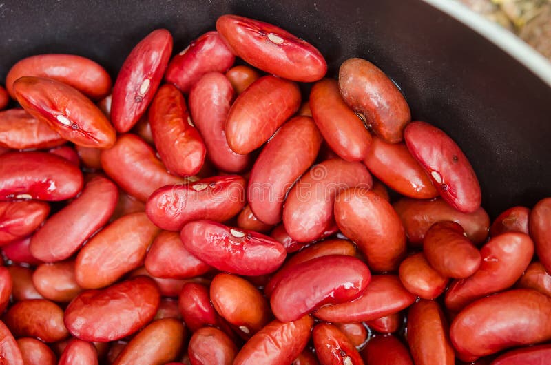 Legume stock image. Image of grain, eating, group, food - 52232475