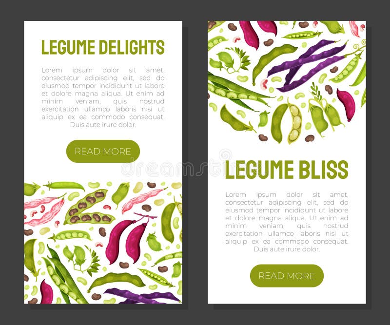 Legume Plant Banner Design with Pod and Bean Vector Template Stock ...