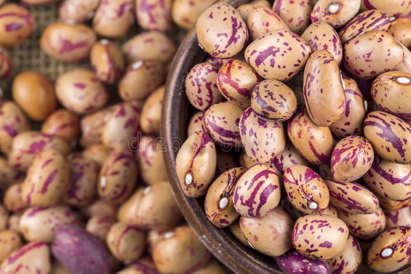 Legumes; Dried Roman Beans. Stock Image - Image of closeup, legumes ...
