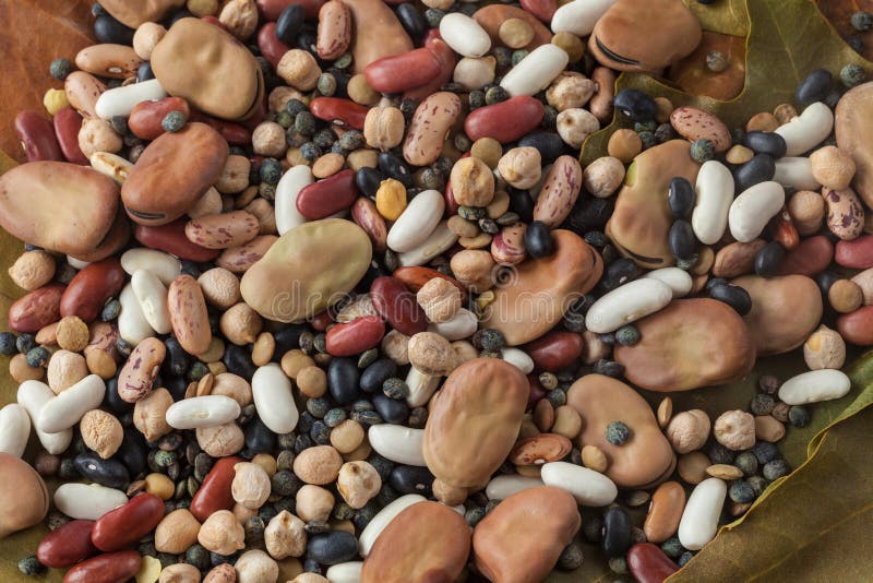 Legumes on leaves stock image. Image of natural, foliage - 27505873