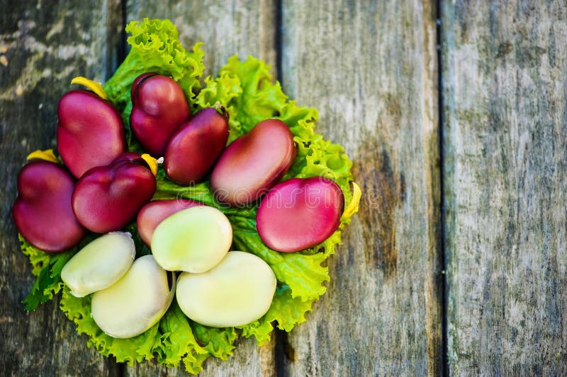 Legumes stock photo. Image of food, legume, ingredient - 163457556