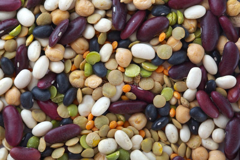 Leguminosa foto de stock. Imagem de marrom, vermelho - 15043152