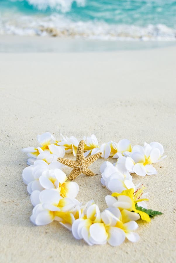 Lei and Starfish on the Beach Stock Image - Image of starfish, travel ...