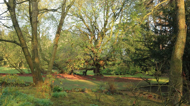Leicester Park in United Kingdom Stock Image - Image of stone ...