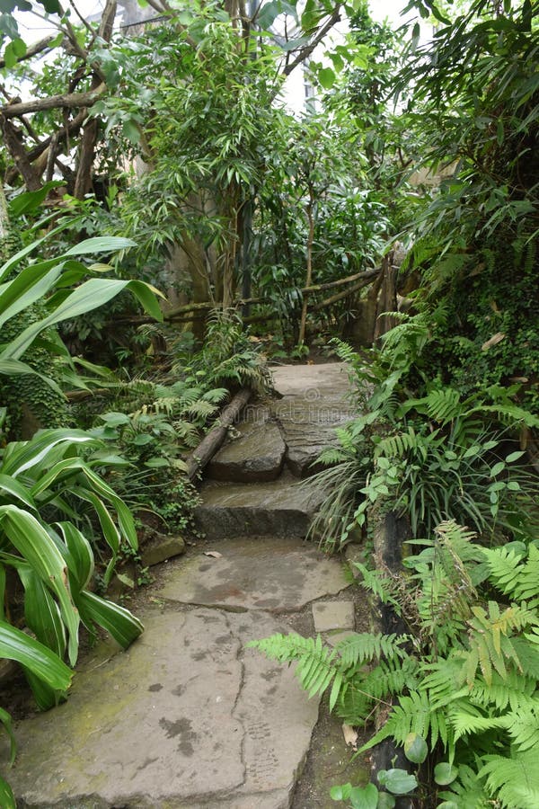 342 Zoo Stairs Stock Photos - Free & Royalty-Free Stock Photos from ...