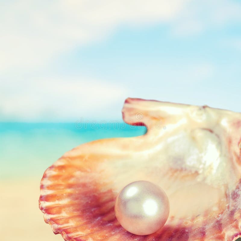 Sea Shell with Pearl Isolated on White Background Stock Image - Image ...