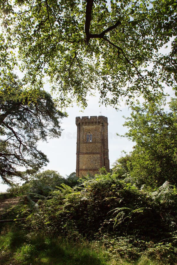 Leith Hill Tower stock photo. Image of beautiful, lush - 180645784