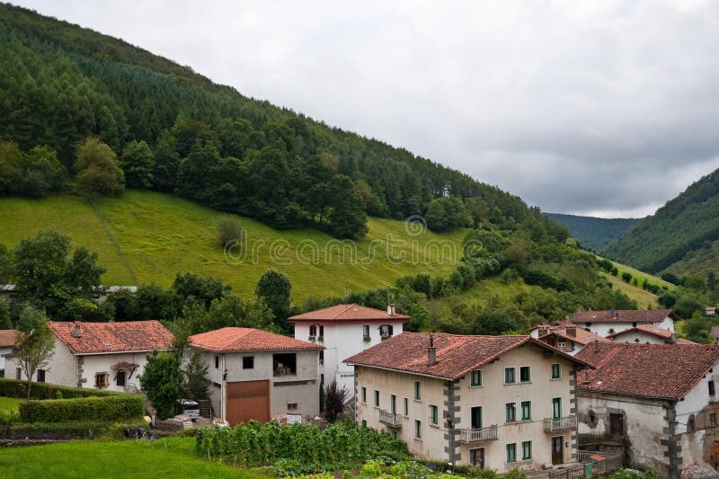 Leitza stock photo. Image of pasture, grass, wood, green - 17171710