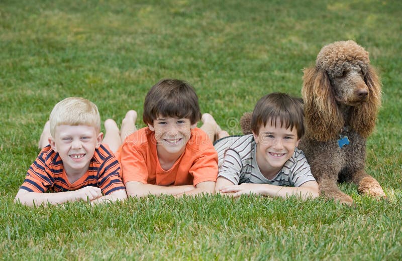 Pojke och hund på jul fotografering för bildbyråer. Bild av hattar ...