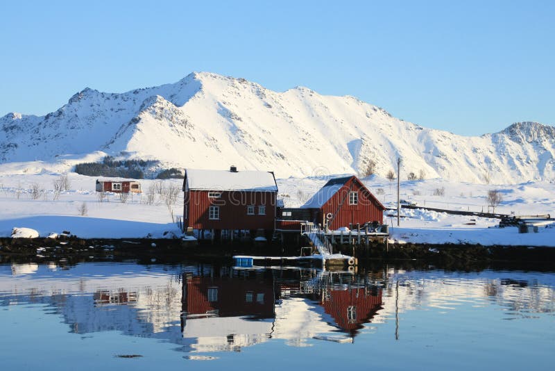 Leknes Hafen stockbild. Bild von land, haus, fische, umgebung - 13490355