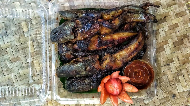 Lele fish cook stock image. Image of cook, lele, chiken - 144254333