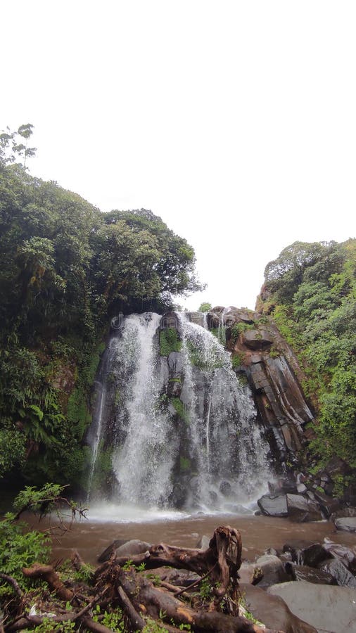 Lembanna Waterfall stock photo. Image of malino, forest - 262039642