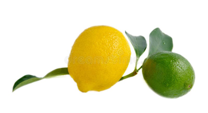 Lemion and lime stock image. Image of vitamin, lime, yellow - 15045879