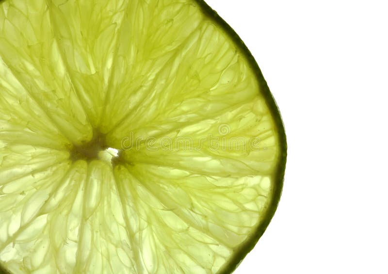 Lemmon Showing on the Right Stock Photo - Image of colorful, green: 1462954