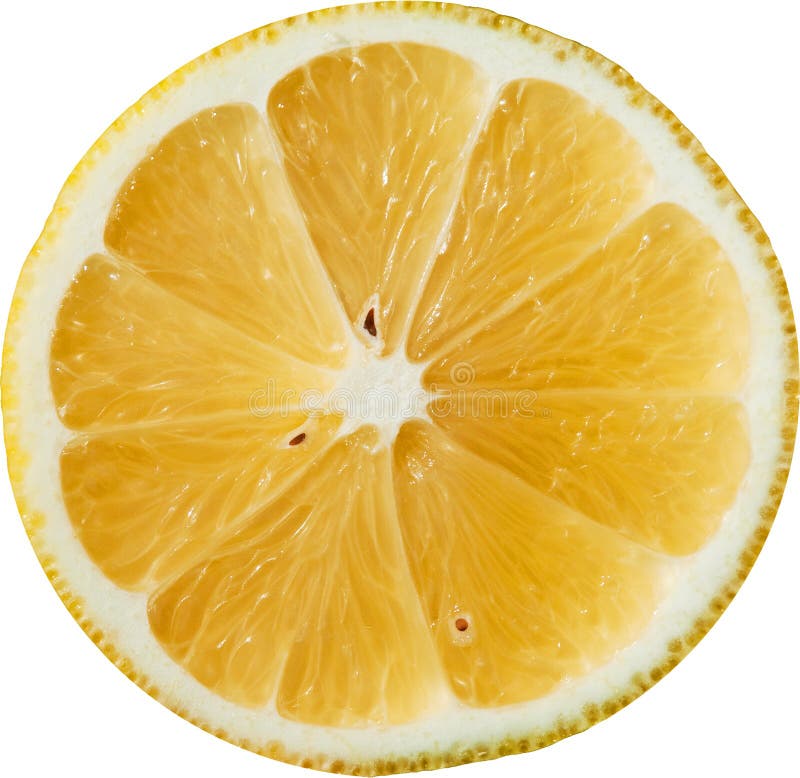 Lemon Picture. Image: 15100791