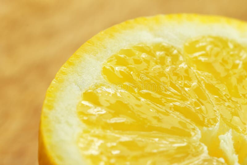 Lemon anatomy stock image. Image of citron, juice, anatomy - 165815