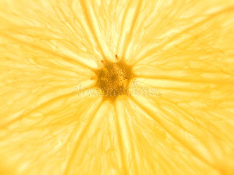 Lemon stock image. Image of middle, pulp, plants, food - 22258331