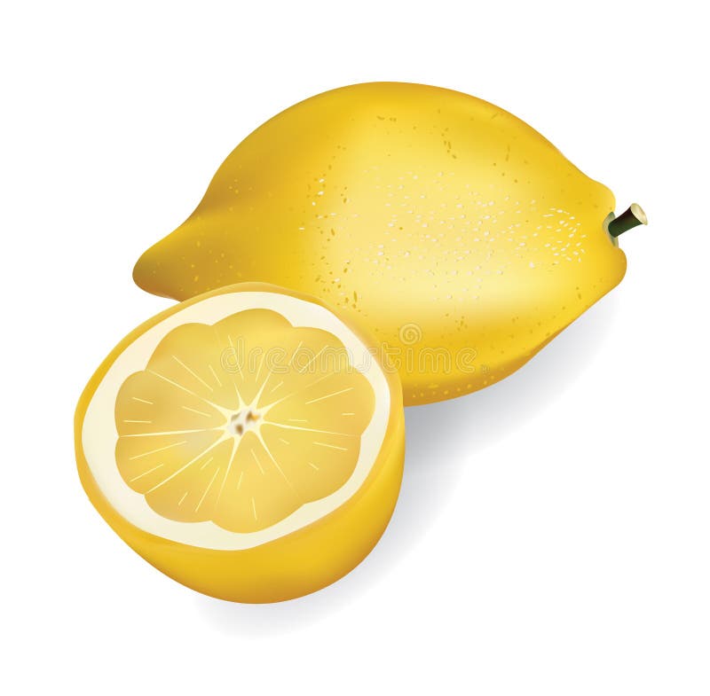 Fresh Summer Flavor: Realistic Lemon Illustration Stock Vector ...
