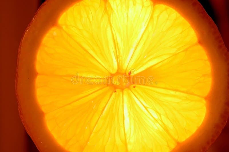 Lemon stock photo. Image of segment, slice, juice, yellow - 569066