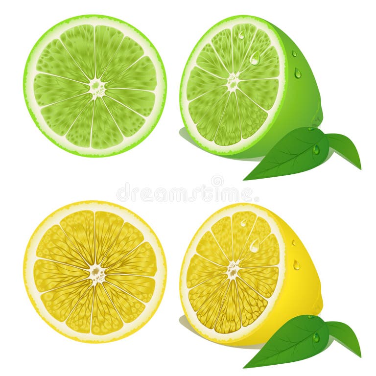 Lemon Cross Stock Illustrations – 2,855 Lemon Cross Stock Illustrations ...