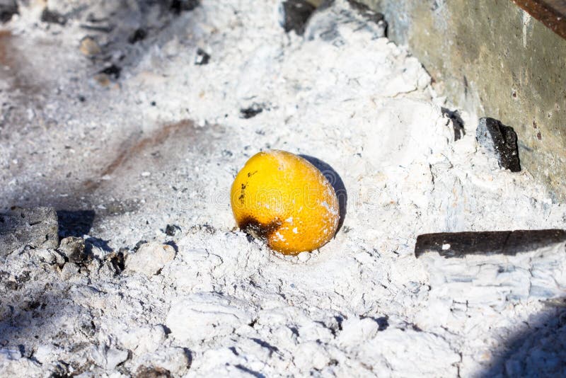 Lemon in Ashes stock photo. Image of limon, burn, isolated - 115890914