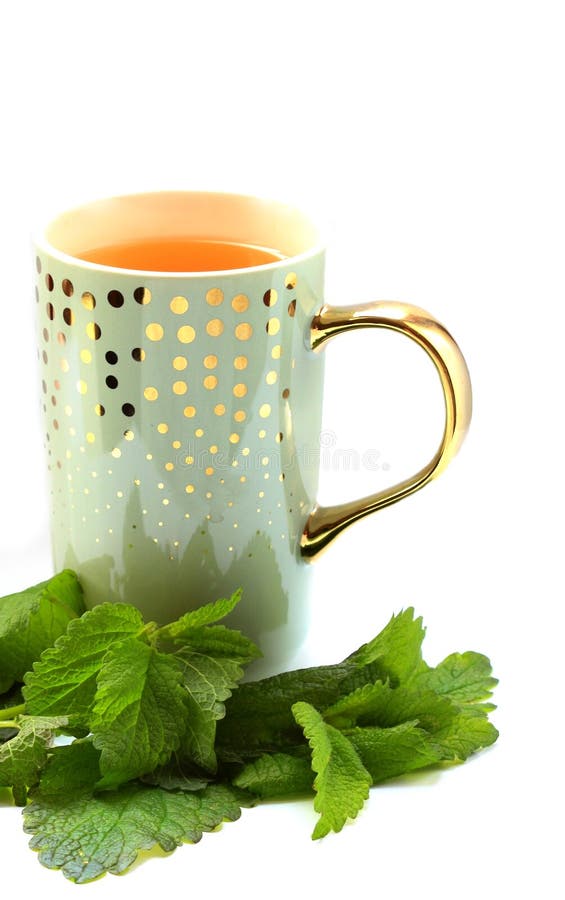 Lemon Balm - Melissa, Fresh Herbal Tea Stock Photo - Image of fresh ...