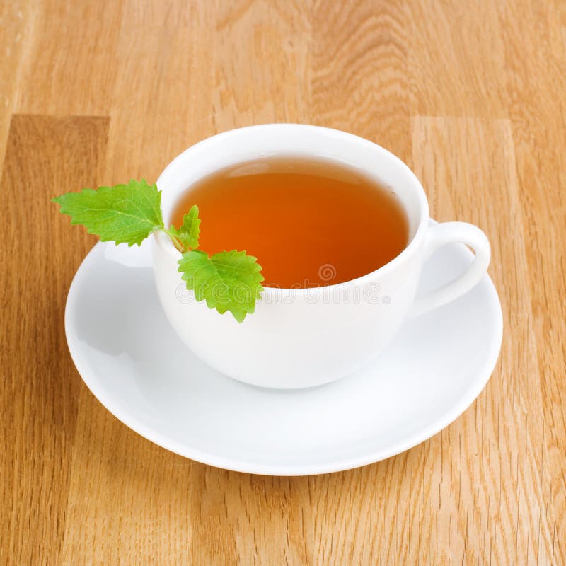 Lemon balm (melissa) tea. stock photo. Image of healing - 16490458