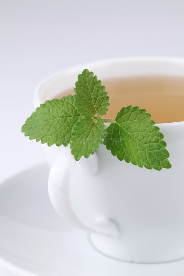 Lemon balm tea stock image. Image of organic, space, balm - 14297059