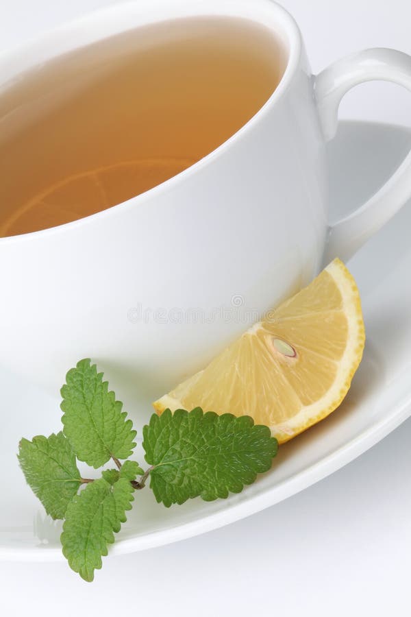 Lemon balm tea with lemon stock photo. Image of healthy - 16665240