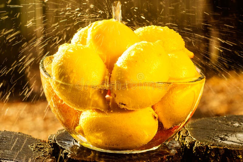 Lemon in bowl under rain stock photo. Image of eating - 62361814