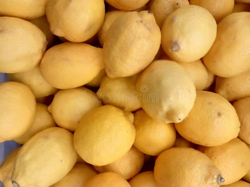 Lemon California photos stock image. Image of fruit - 247111823