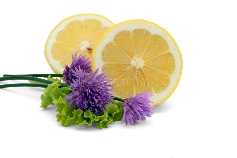 Lemon & Chives stock photo. Image of lemon, dainty - 3984668