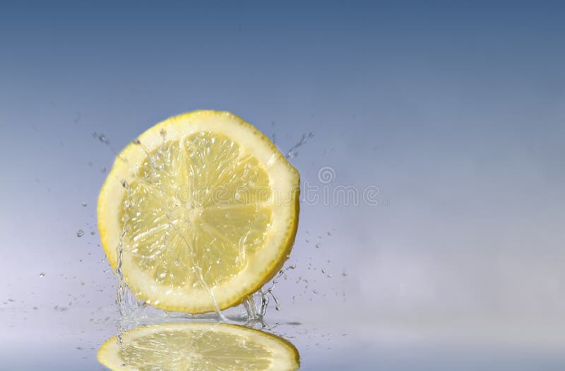 Lemon (Citron) stock image. Image of fall, clean, alive - 3952273